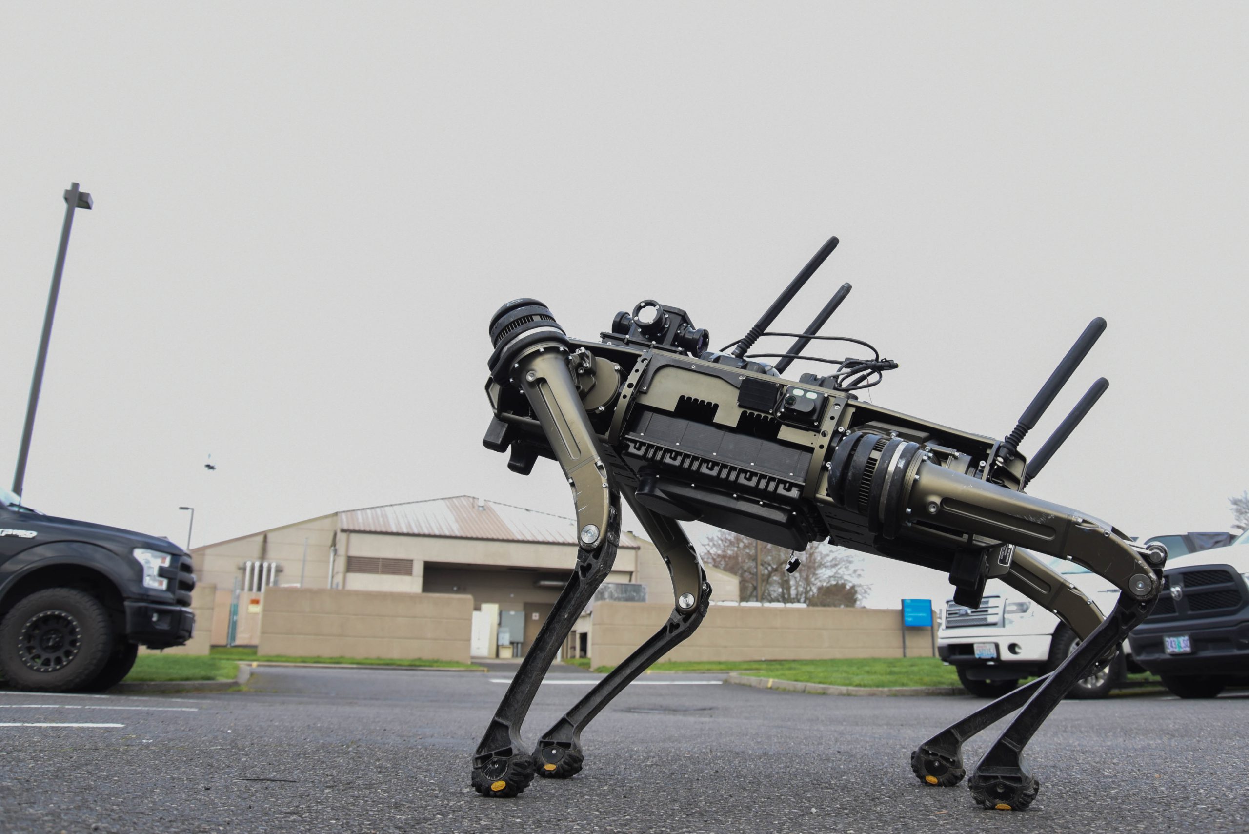 Robot dog reports for duty | AstroRobotics