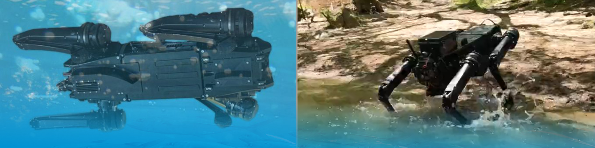 Robotic dogs now go swimming | AstroRobotics
